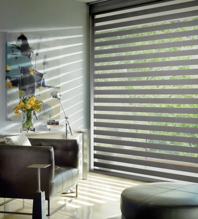 Designer Banded Shades | Hunter Douglas Roller Shades