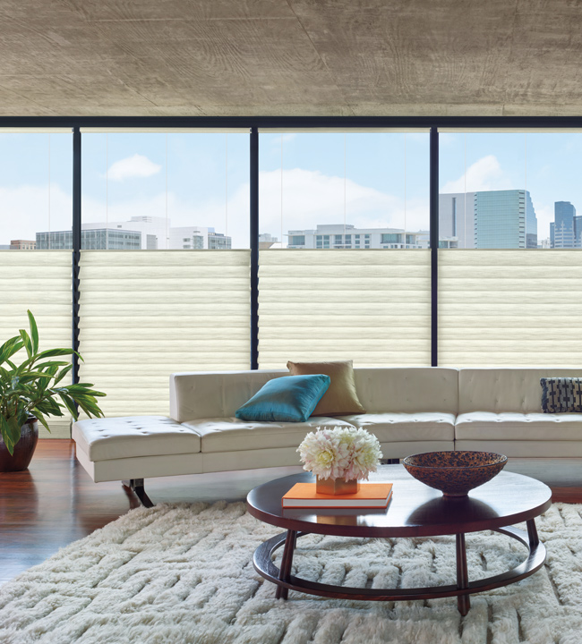 Vignette Roman Shades | Modern Roman Shades