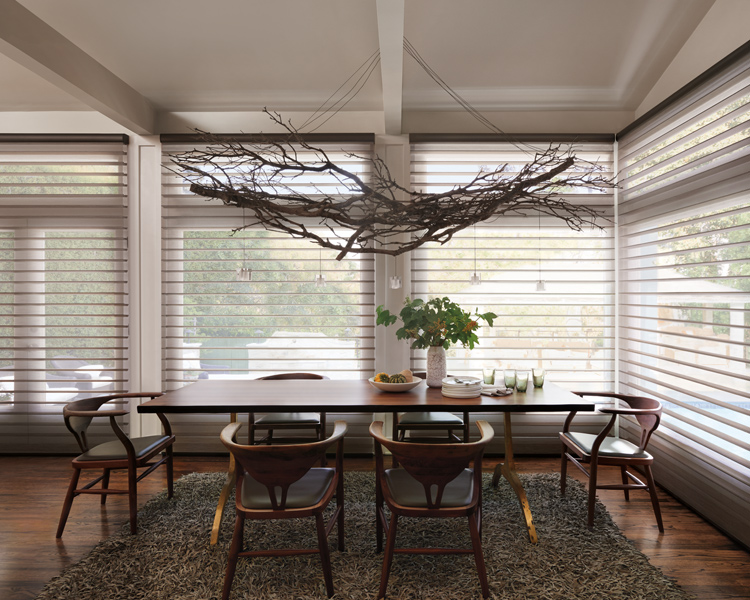 Hunter Douglas Motorized Blinds | Smart Shades | Remote Control Blinds