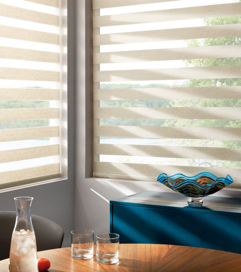 How Many Types of Roller Shades Do You Know? | Find Favorites