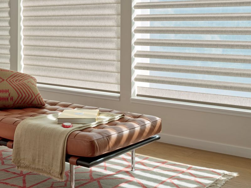 Two In One Shades: From Light to Dark | Skyline Window Coverings