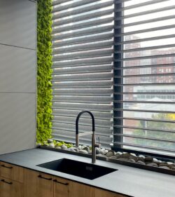 Commercial Blinds & Shades | Skyline | Storefront Shades